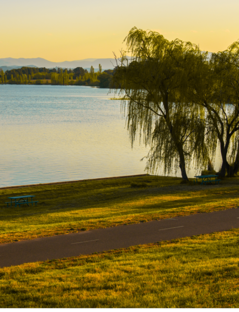 Location | Sydney Detox and Rehab